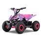 Electric Quad Bikes