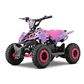 Petrol Quad Bikes