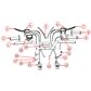 MXR 8000w Controls Clutch & Brake Levers